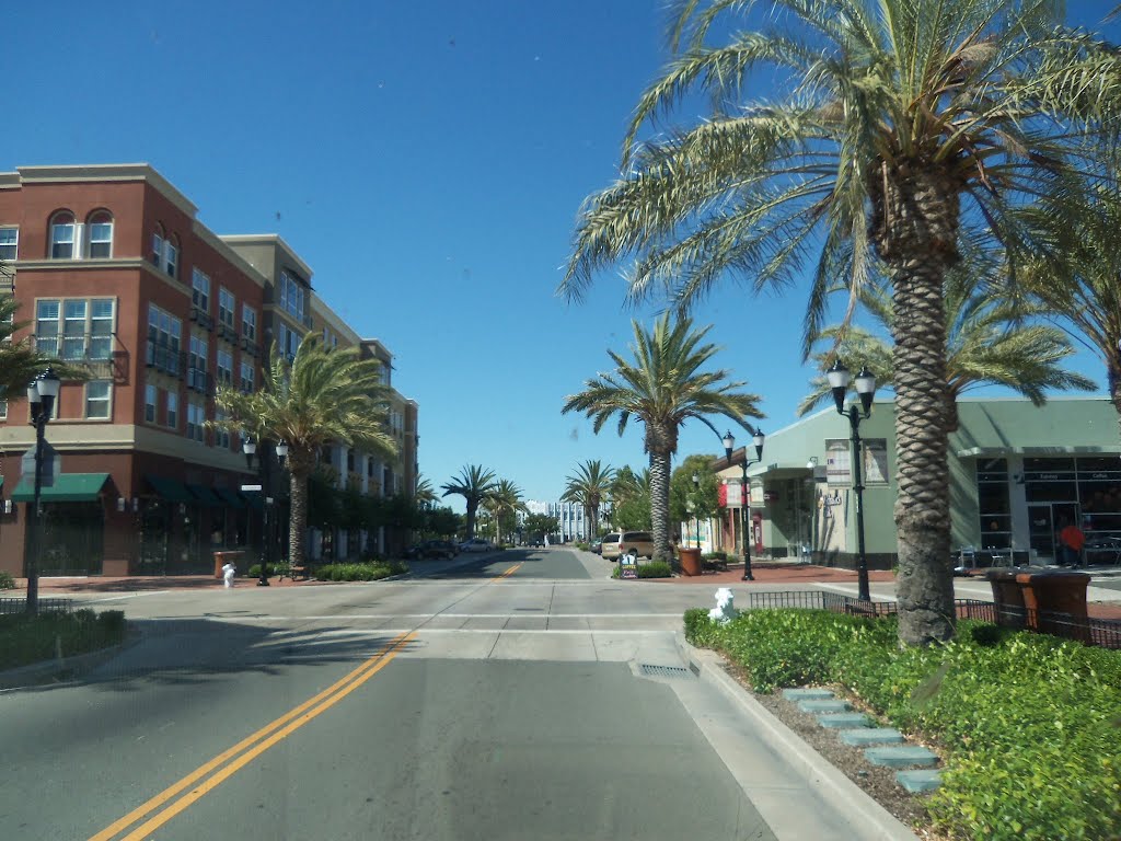 Dumpster Rental Services in Pittsburg, CA | Pirate Dumpsters